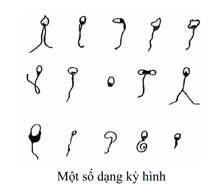 NHỮNG VẤN ĐỀ GẶP PHẢI TRONG QUÁ TRÌNH CHĂN NUÔI HEO NỌC